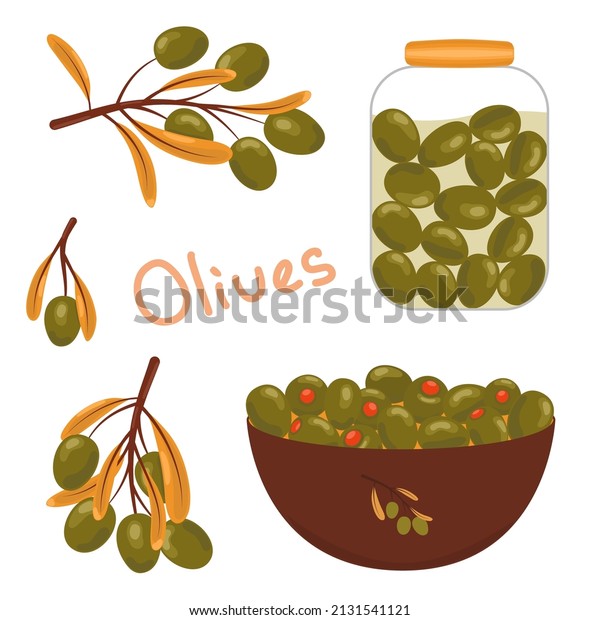Vector Illustration Isolated Olive Symbols Olives Stock Vector (Royalty ...