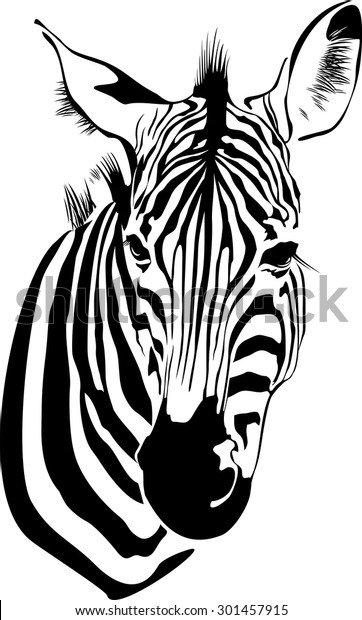 Vector Illustration Isolated Zebras Head On Stock Vector (Royalty Free ...