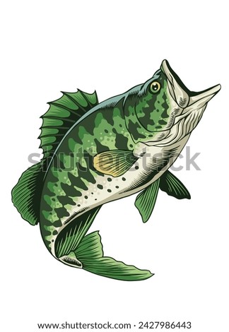 Striped Bass Drawing | Free download on ClipArtMag
