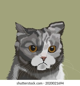 Vector Illustration Lazy House Cat Thick Stock Vector (Royalty Free ...