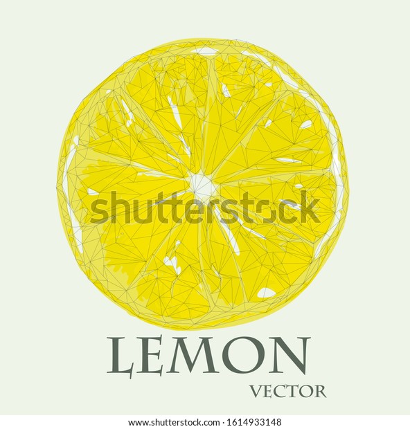 Vector Illustration Lemon Graphic Lines Geometry Stock Vector (Royalty ...