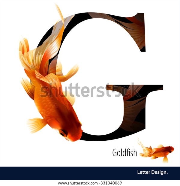 Vector Illustration Letter G Goldfish Alphabet Stock Vector (Royalty ...