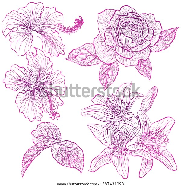 Vector Illustration Line Art Style Set Stock Vector (Royalty Free ...