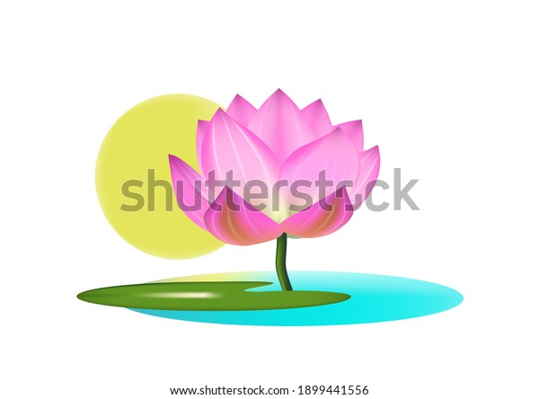 Vector Illustration Lotus Flower Pond Stock Vector (Royalty Free ...