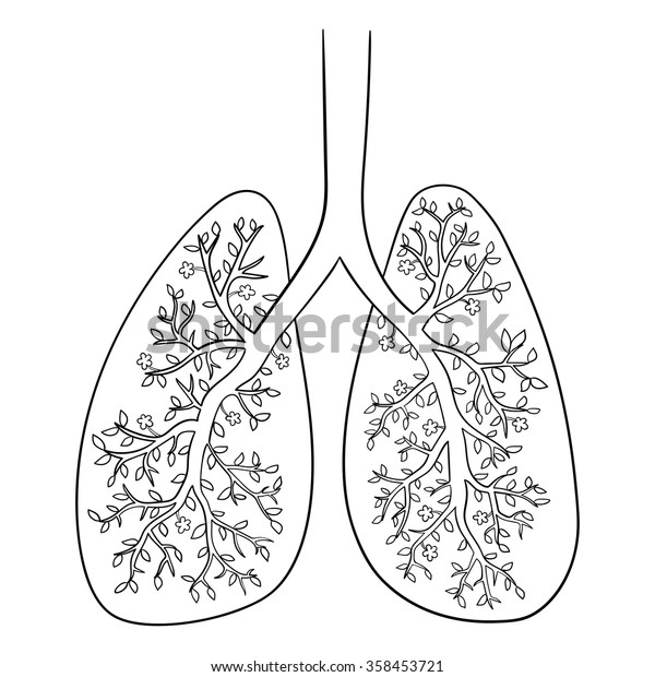 Vector Illustration Lungs Doodle Drawing Human Stock Vector (Royalty ...