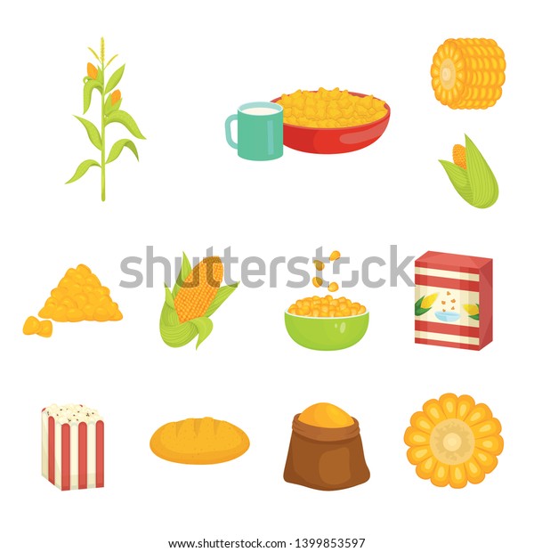 Vector Illustration Maize Food Logo Set Stock Vector (Royalty Free ...