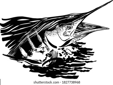 302 imagens de Marlin head Imagens, fotos stock e vetores | Shutterstock
