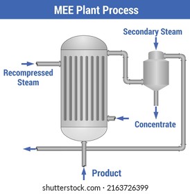 Vector Illustration Mee Plant Process Stock Vector (Royalty Free ...