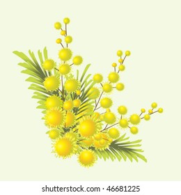 Mimosa Bouquet Vector Stock Vector (Royalty Free) 256673329