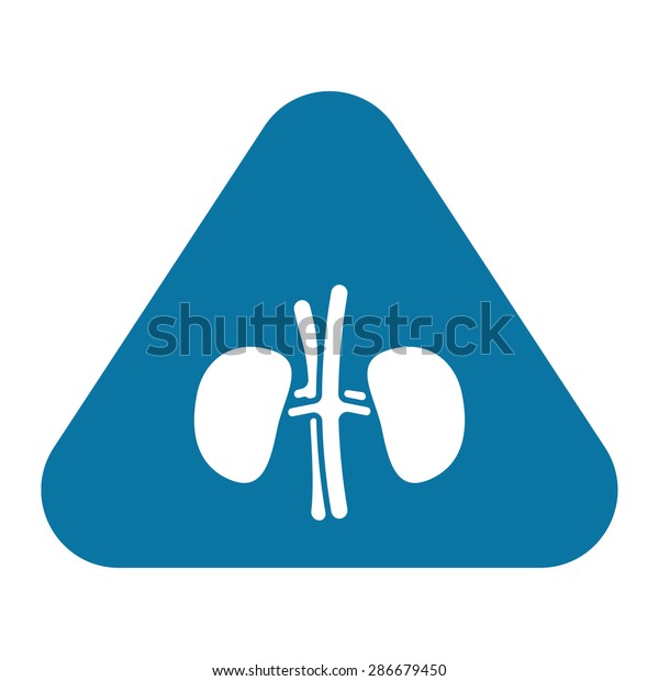 Vector Illustration Modern Icon Kidneys Stock Vector (Royalty Free ...
