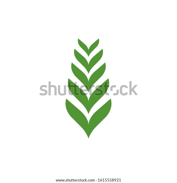 Vector Illustration Multileaved Spikelooking Plant Stock Vector ...