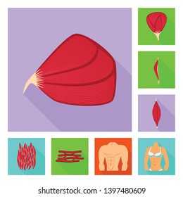 Vector Illustration Muscle Cells Icon Collection: vector de stock ...