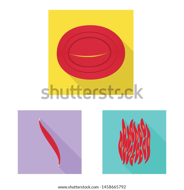 Vector Illustration Muscle Cells Logo Set Stock Vector (Royalty Free ...
