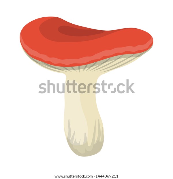 Vector Illustration Mushroom Russula Logo Collection Stock Vector ...