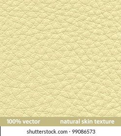 Vector Illustration Natural Skin Textures Stock Vector (Royalty Free ...