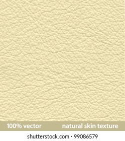 Vector Illustration Natural Skin Textures Stock Vector (Royalty Free ...