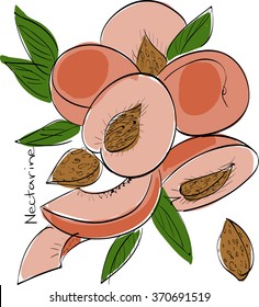 Vector Illustration Nectarines Limited Colors Graphic Stock Vector ...