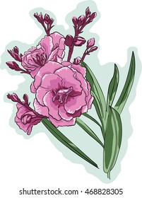 Vector Illustration Nerium Oleander Hand Drawn Stock Vector (Royalty ...