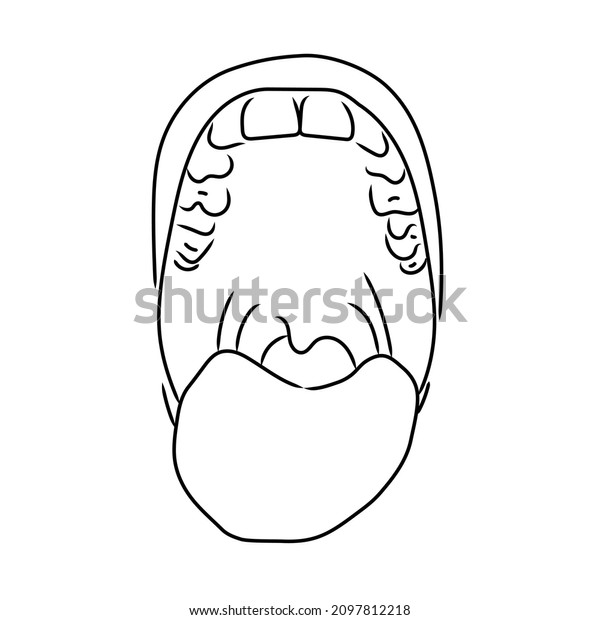 Vector Illustration Open Mouth Teeth Tongue Stock Vector (Royalty Free ...