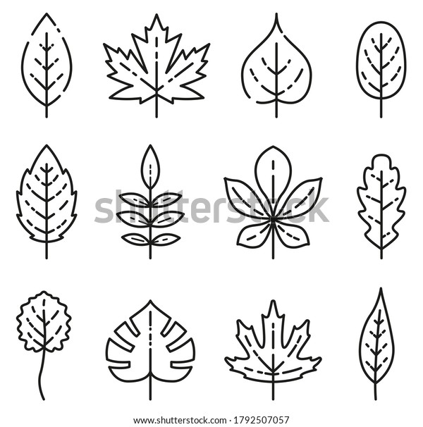 Vector Illustration Outline Isolated Leaves Icons Stock Vector (Royalty ...