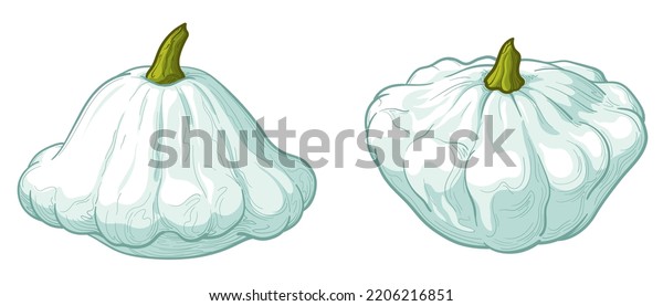 Vector Illustration Patisson White Pattypan Squash Stock Vector ...