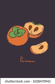 Vector Illustration Persimmon Illustration Color Stock Vector (Royalty ...
