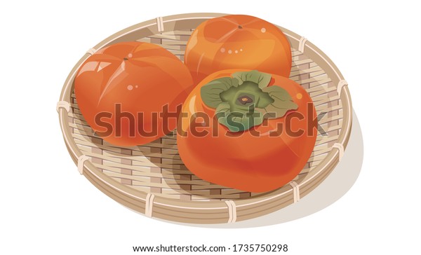 Vector Illustration Persimmons On Bamboo Colander Stock Vector (Royalty ...
