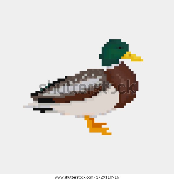 Vector Illustration Pixel Art Drake Isolated: เวกเตอร์สต็อก (ปลอดค่า ...
