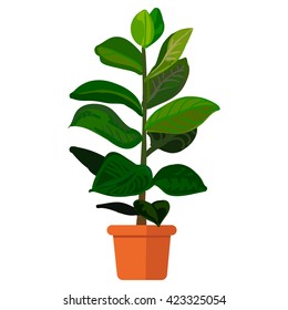 10,823 Rubber Tree Stock Vectors, Images & Vector Art | Shutterstock