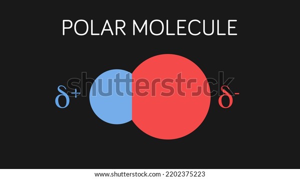 Vector Illustration Polar Molecule Dipole Stock Vector (Royalty Free ...