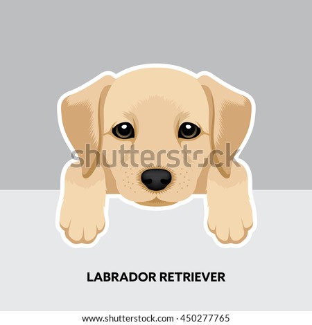 Vector Illustration Portrait Labrador Retriever Puppy Vector de stock ...