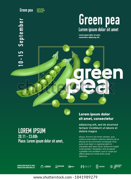 Vector Illustration Poster Text Layout Green Stock Vector (Royalty Free ...