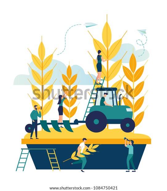Vector Illustration Process Harvesting Crops On Stock Vector (Royalty ...