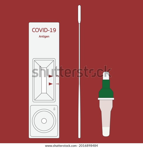 Vector Illustration Rapid Antigen Test Kit Stock Vector (Royalty Free ...