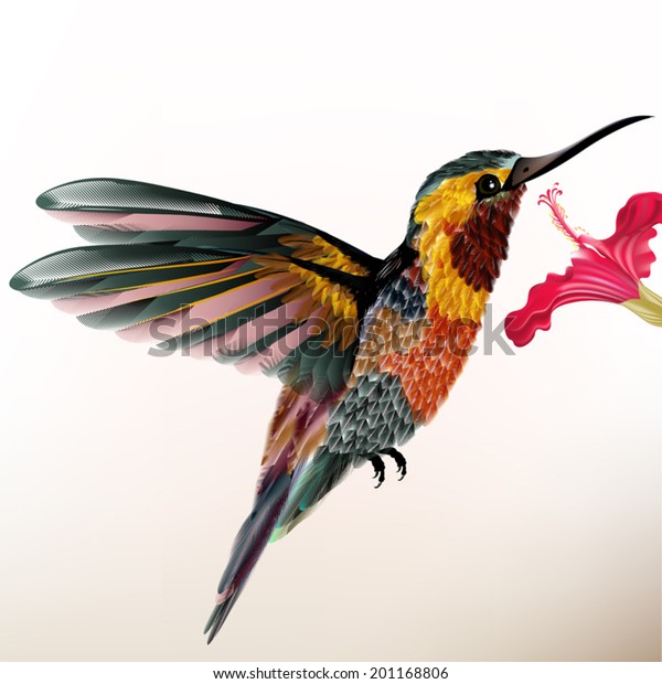 Vector Illustration Realistic Humming Bird Design Stock Vector (Royalty ...