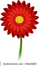 Vector Illustration Red Gerber Daisy Flower Stock Vector (Royalty Free ...