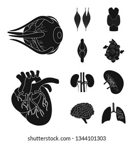 Vector Illustration Research Laboratory Sign Collection Stock Vector ...