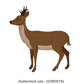 Vector Illustration Roe Deer Stock Vector (Royalty Free) 2129035736 ...