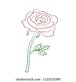 Rose Contour Image Vector Illustrations : image vectorielle de stock ...