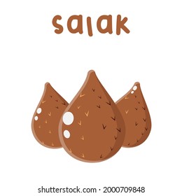 Vector Illustration Salak Fruit Salak Fruit Stock Vector (Royalty Free ...