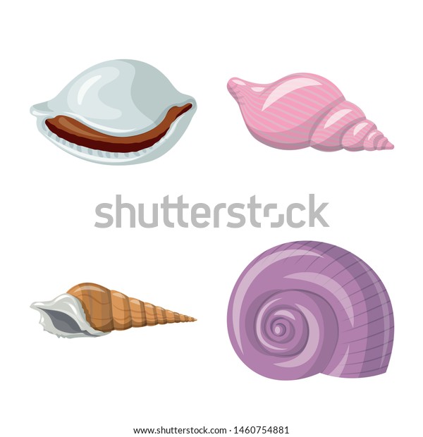 Vector Illustration Seashell Mollusk Logo Set Stock Vector (Royalty ...