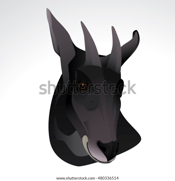 Vector Illustration Serow Head Portrait Isolated Stock Vector (Royalty ...