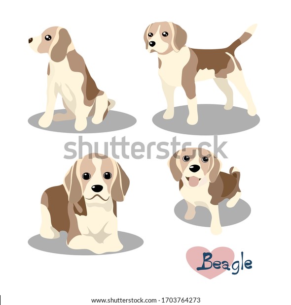 Vector Illustration Set Beagle Dog Dog Stock Vector (Royalty Free ...