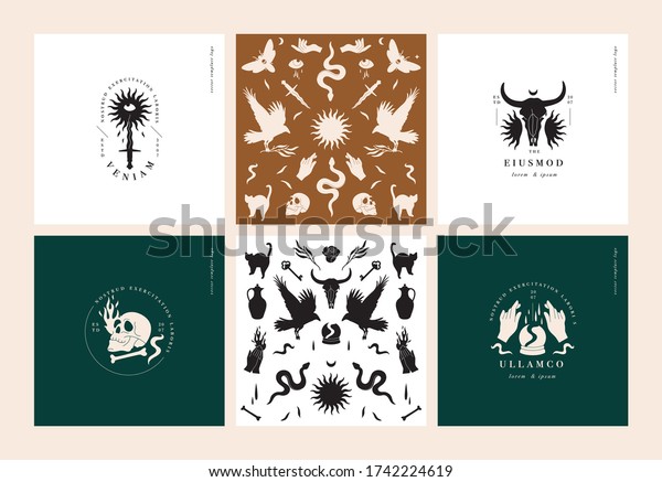 Vector Illustration Set Mystical Icons Logos Stock Vector (Royalty Free ...