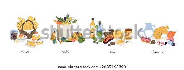 Vector Illustration Set Nutrition Categories Macronutrients Stock ...