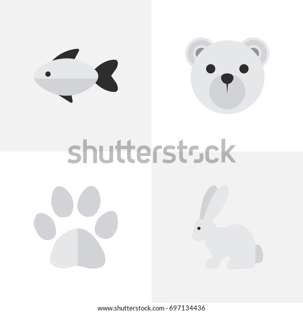 Vector Illustration Set Simple Zoo Icons Stock Vector (Royalty Free ...
