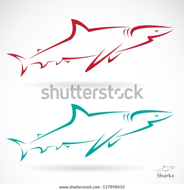Vector Illustration Shark Banner On White Stock Vector (Royalty Free ...