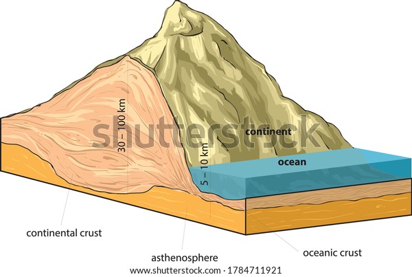 Vector Illustration Shows Continental Oceanic Crust Stock Vector ...