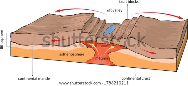 Vector Illustration Shows Divergence Continental Tectonic Stock Vector ...