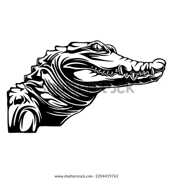 Vector Illustration Side View Crocodile Sharp Stock Vector (Royalty ...